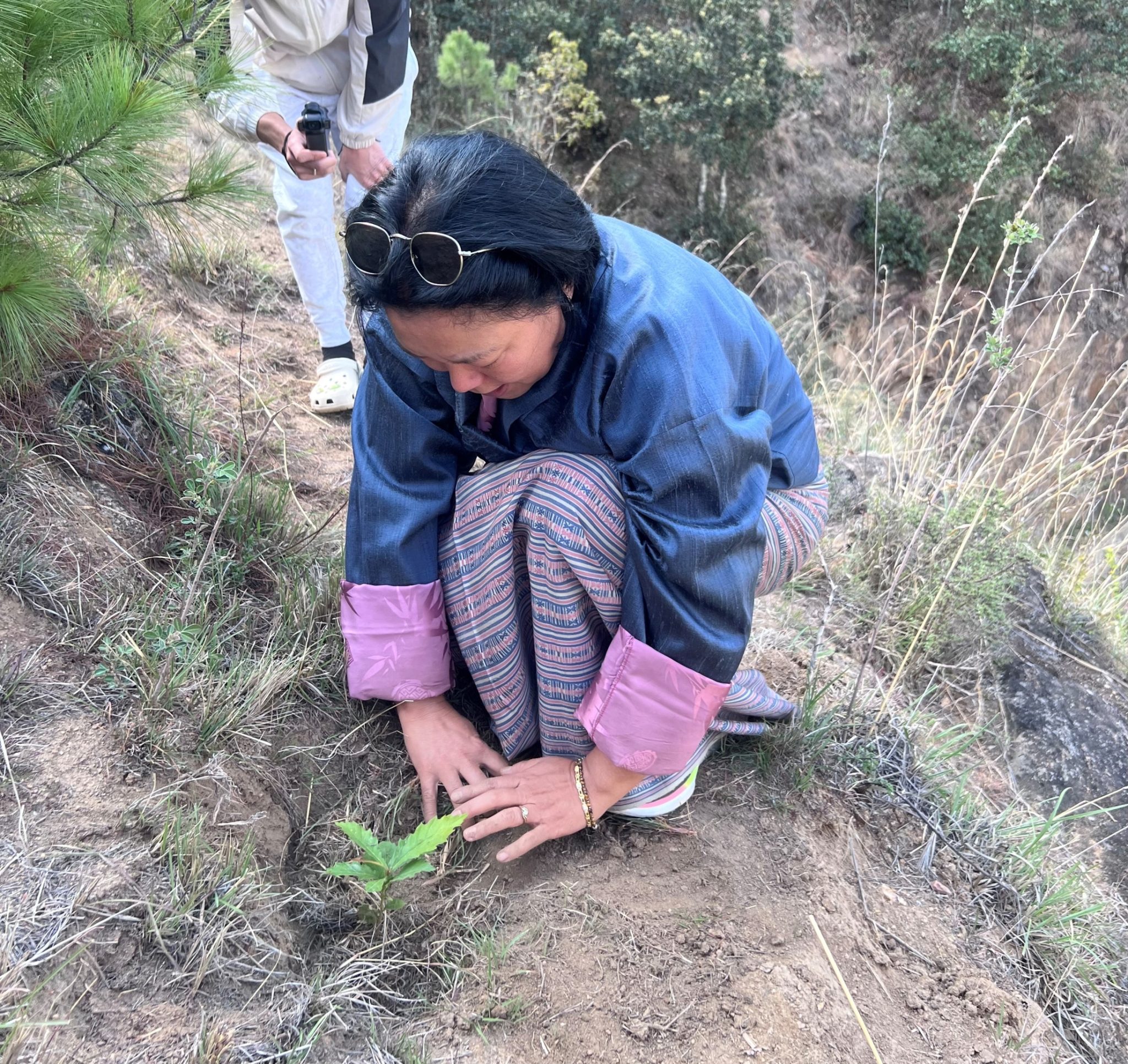 World Environment Day marked with a commitment to annual tree planting ...